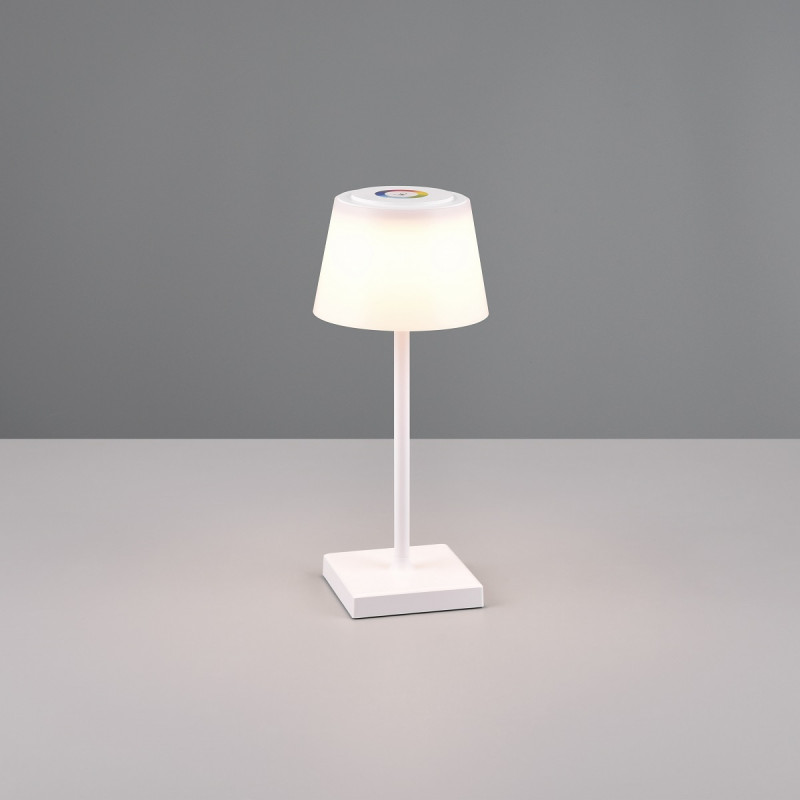 Lampe d'extérieur à LED RGB Sanchez - Trio Leuchten | Comptoir des Lustres