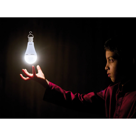 Ampoule LED rechargeable Standard 8 W Blanc chaud - Osram | Comptoir ...